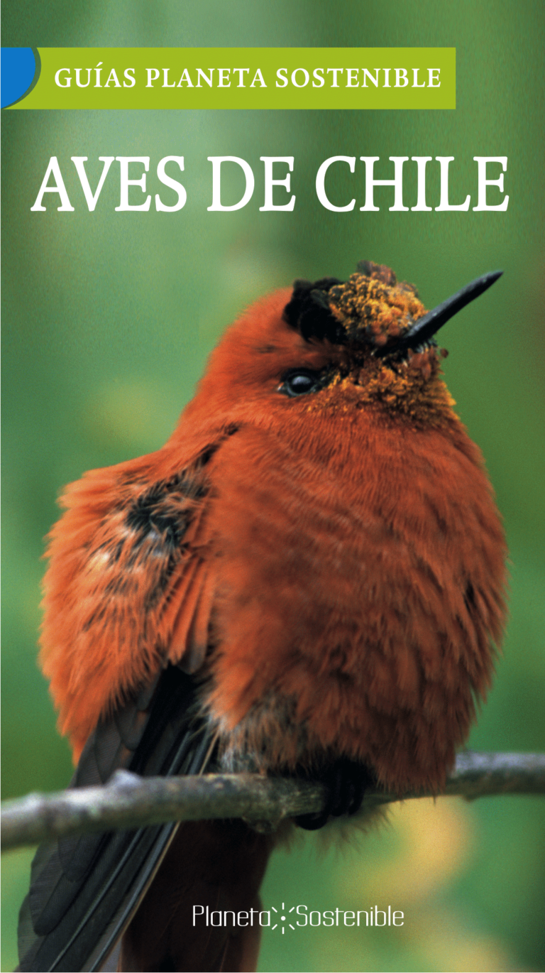 Aves de Chile, mapa biogeográfico – Planeta Sostenible