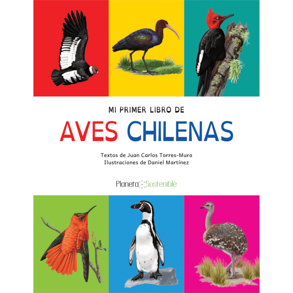 Mi primer libro de aves chilenas – Planeta Sostenible